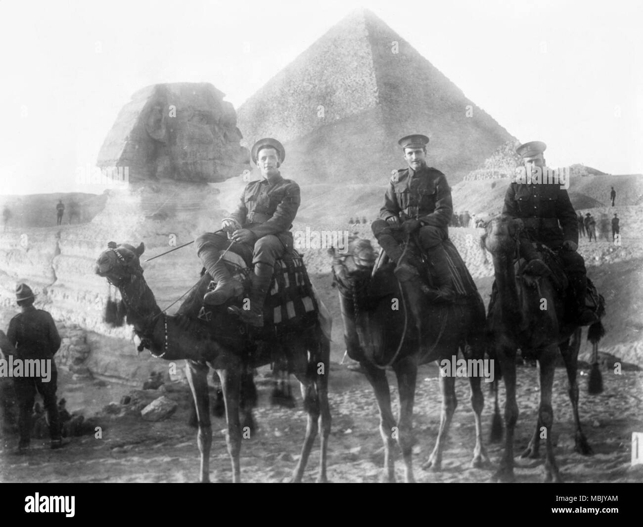 War camels hi-res stock photography and images - Alamy