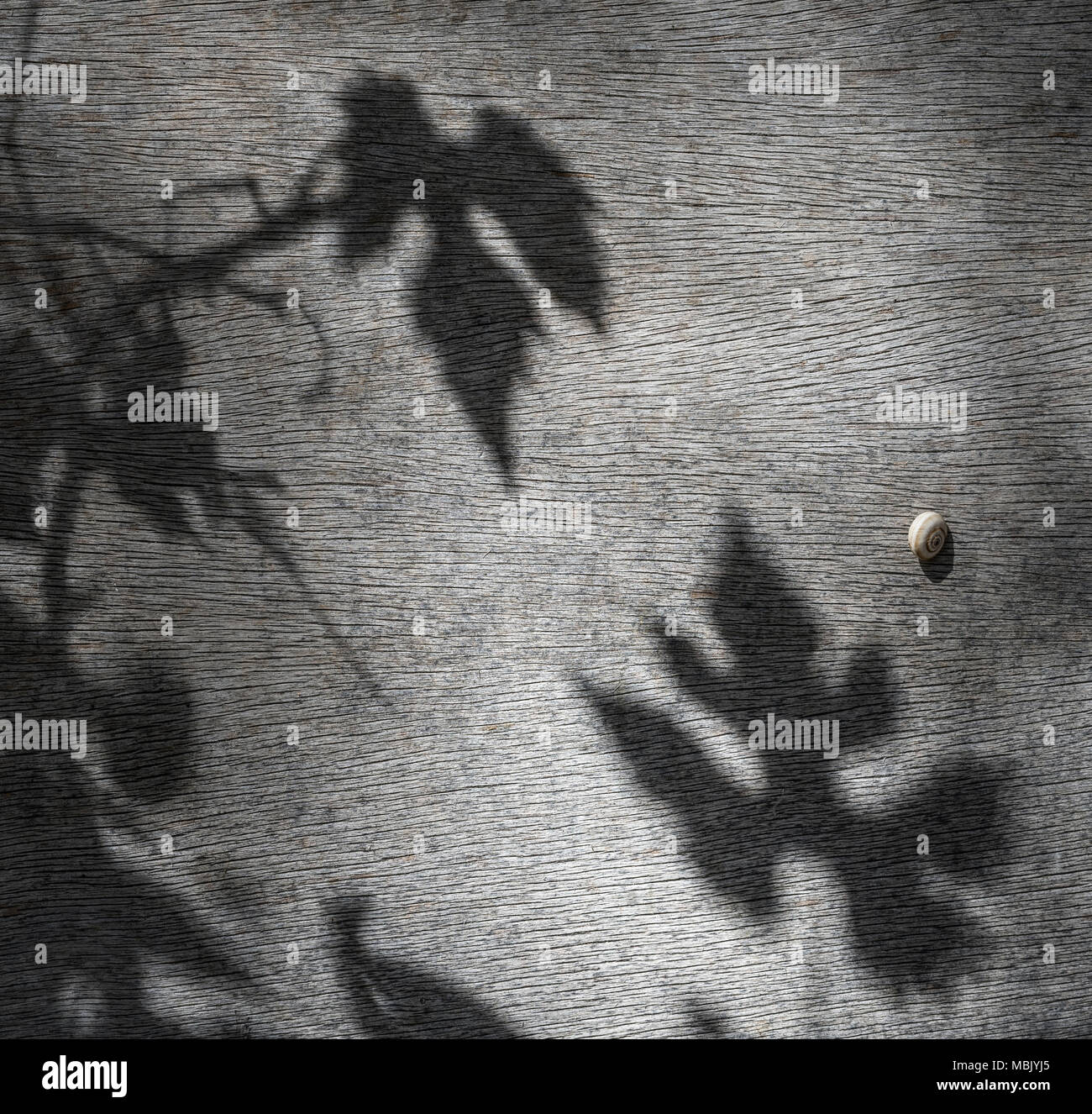 Creeping shadows hi-res stock photography and images - Alamy