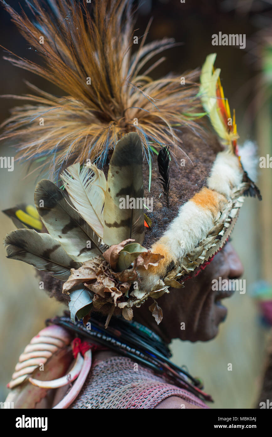 Profile view of a Huli wigman ready for a sing-sing show, Tari Valley ...