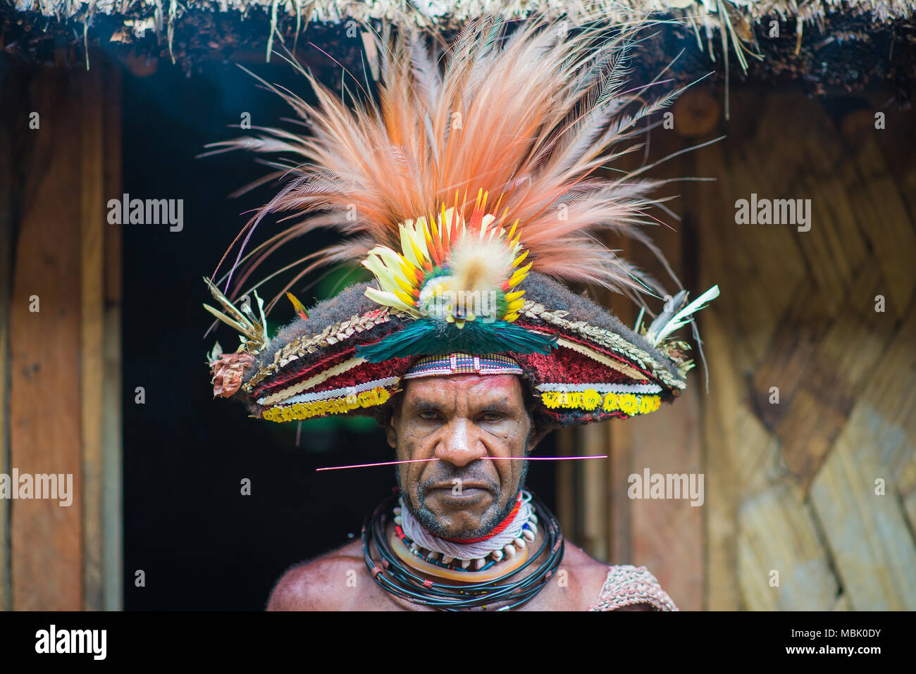 Portrait of an adult Huli wigman with traditional wig/headdress, Tari ...