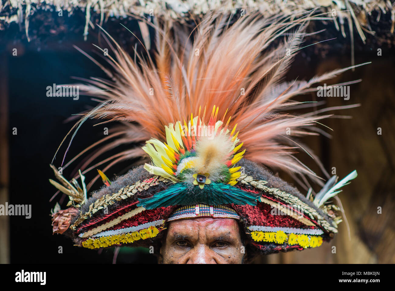 Detail of the wig/headdress of a Huli adult man, Tari Valley, Papua New ...