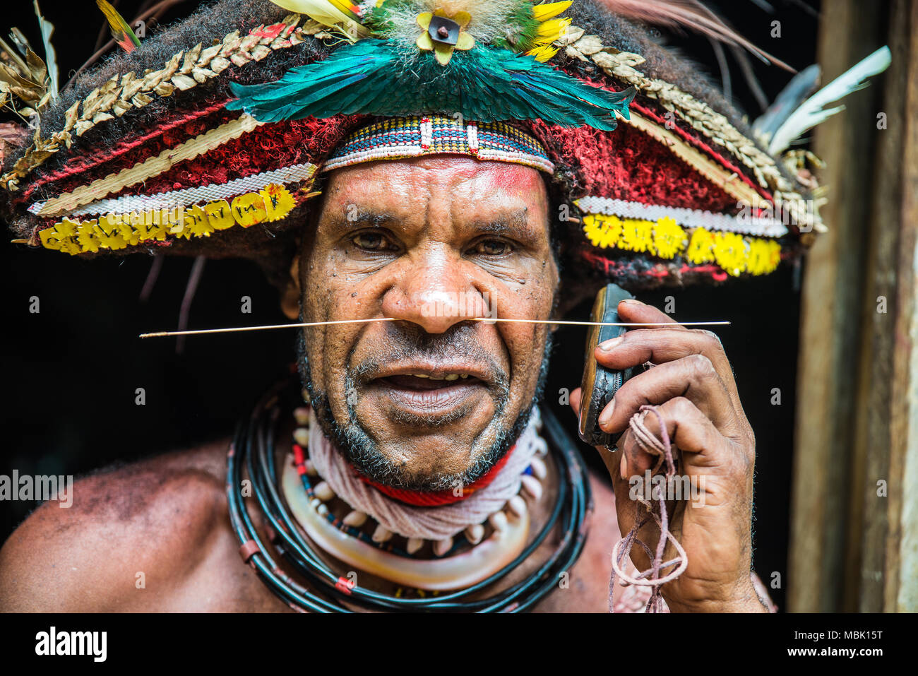 Portrait of an adult Huli wigman with traditional wig/headdress, Tari ...