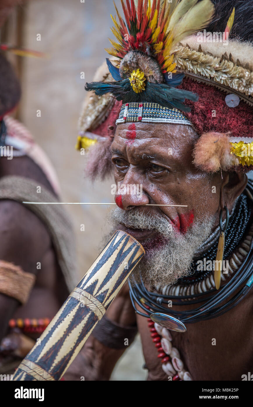 An old Huli wigman playing a traditional flute, Tari Valley, Papua New ...