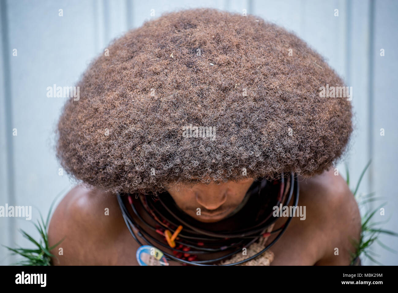 A young Huli initiate let his hair grow for 18 months to have the base ...