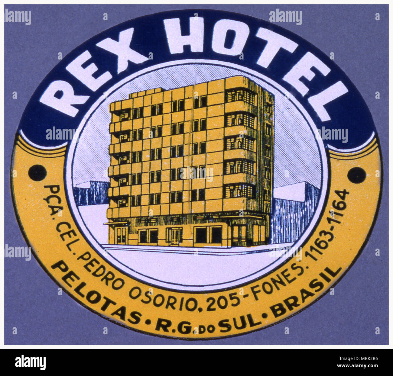 R rex hi-res stock photography and images - Alamy