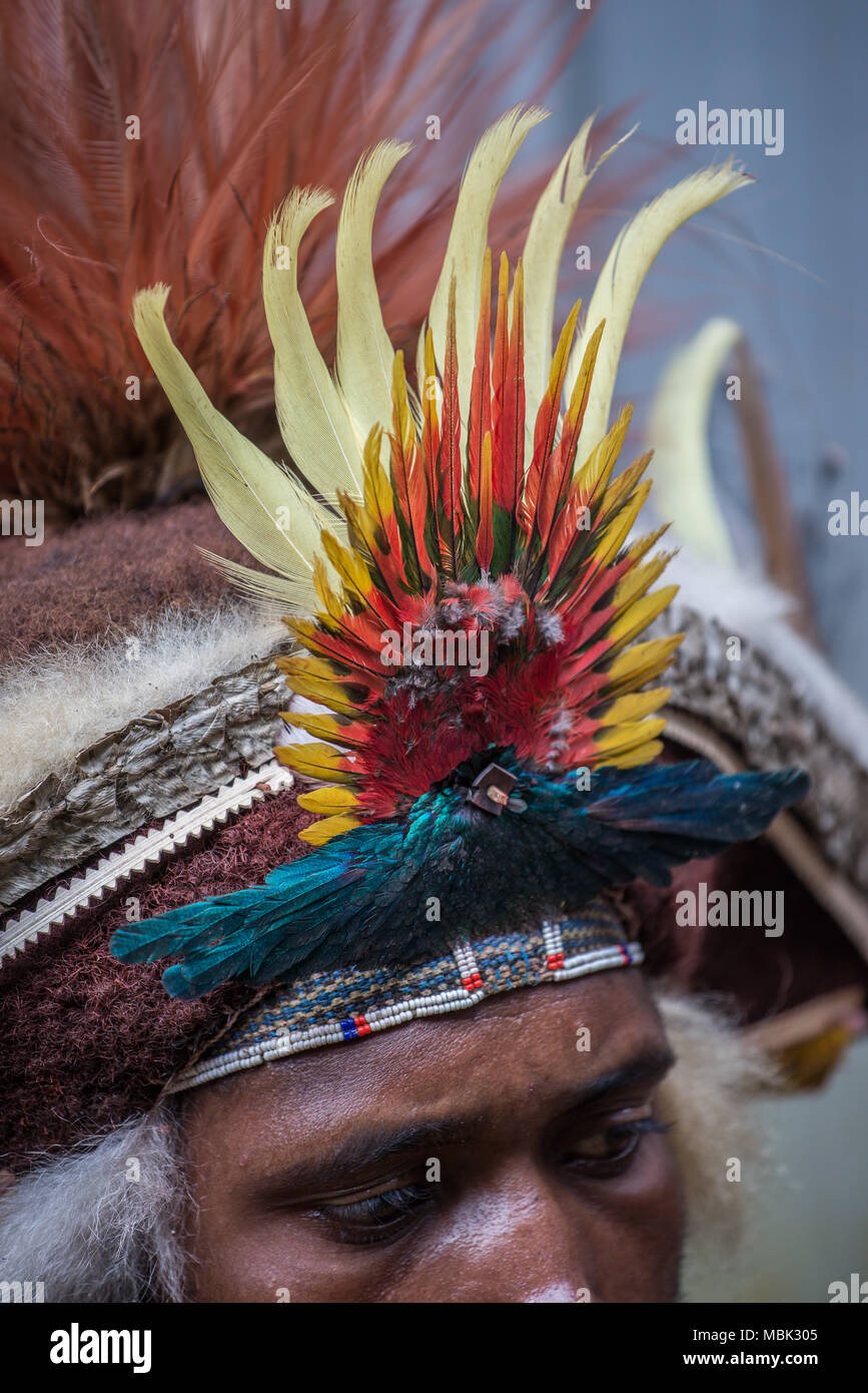 Papua new guinea feathers headdress hi-res stock photography and images ...