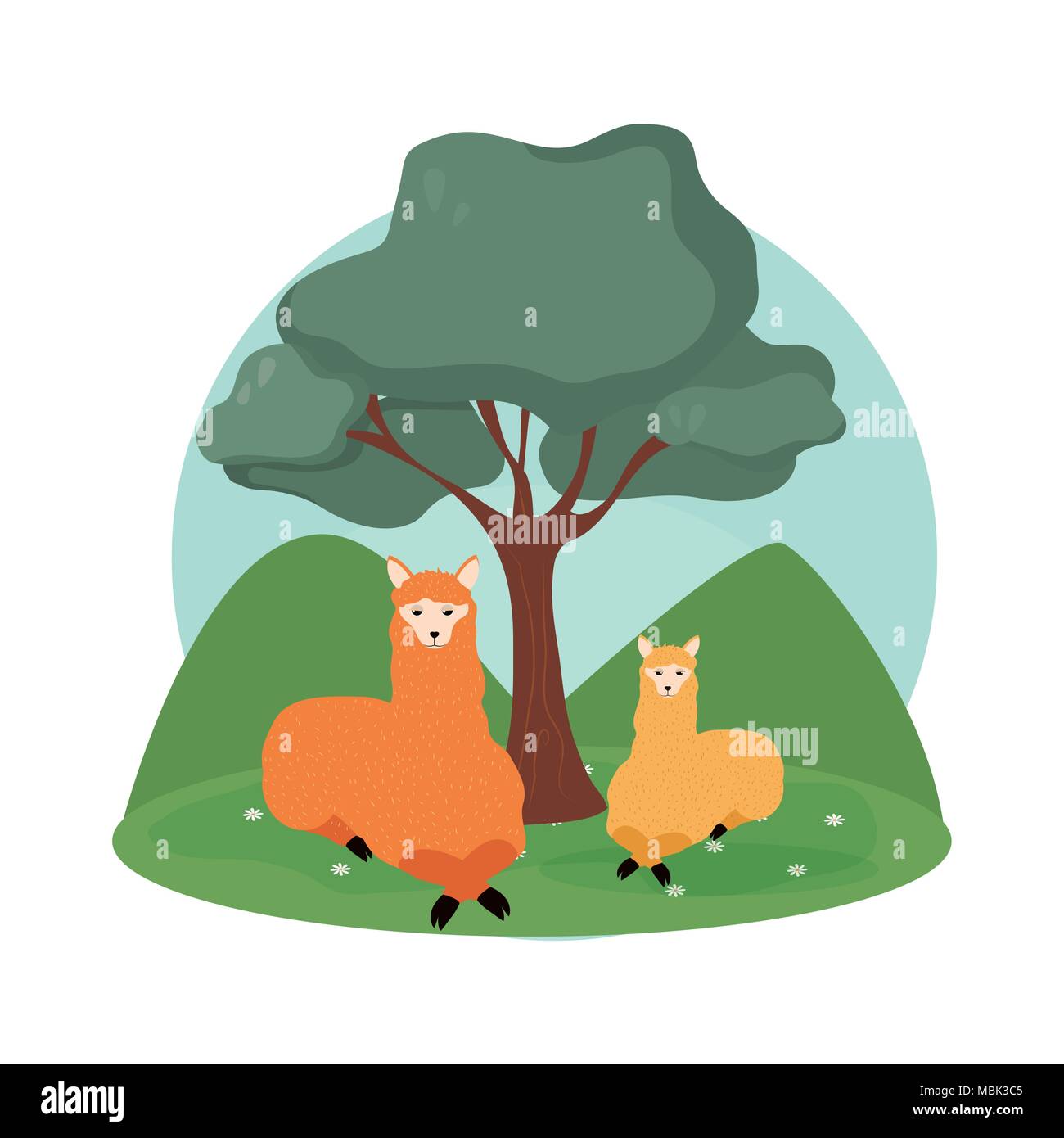Llamas cute animals cartoons Stock Vector Image & Art - Alamy