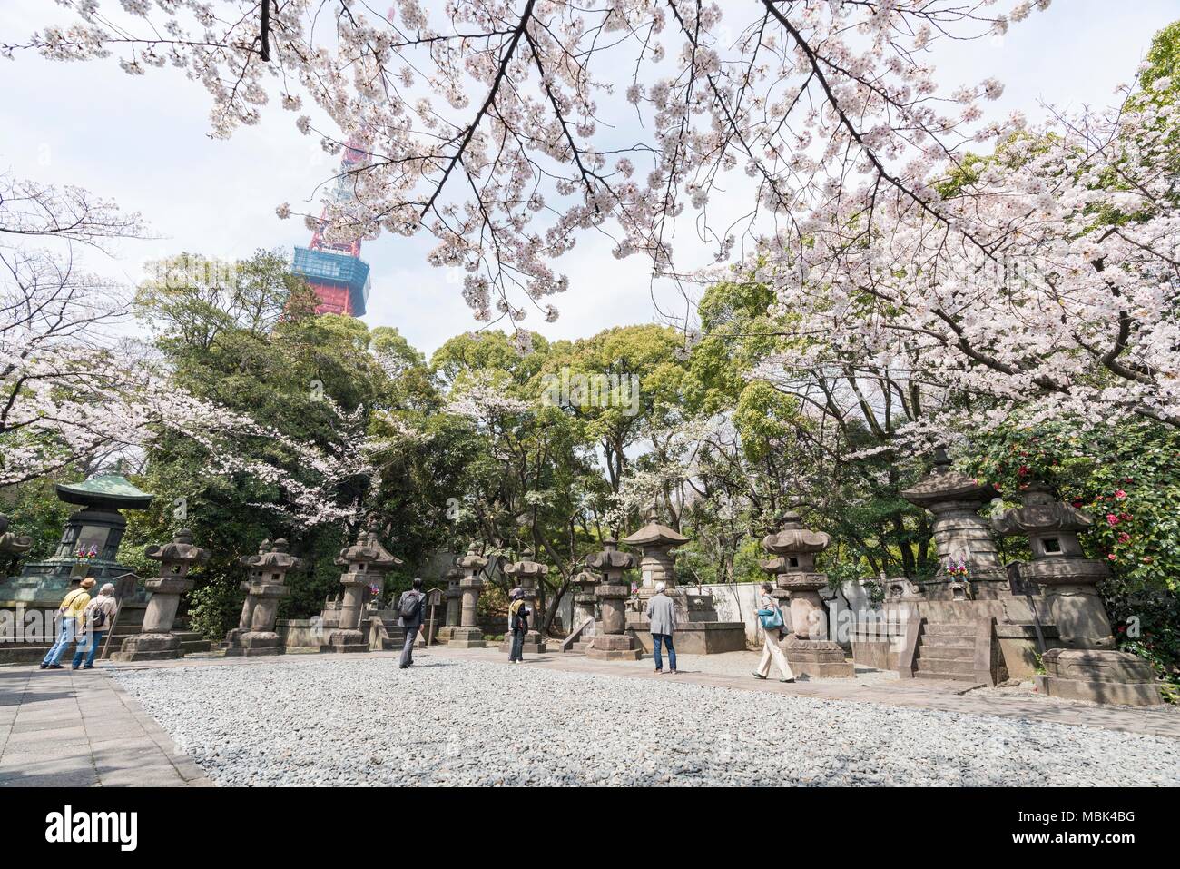 Tokugawa family's grave, Zojoji Temple, Minato-Ku, Tokyo, Japan Stock ...