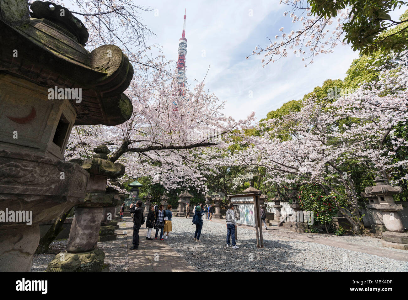 Zojouji temple hi-res stock photography and images - Alamy