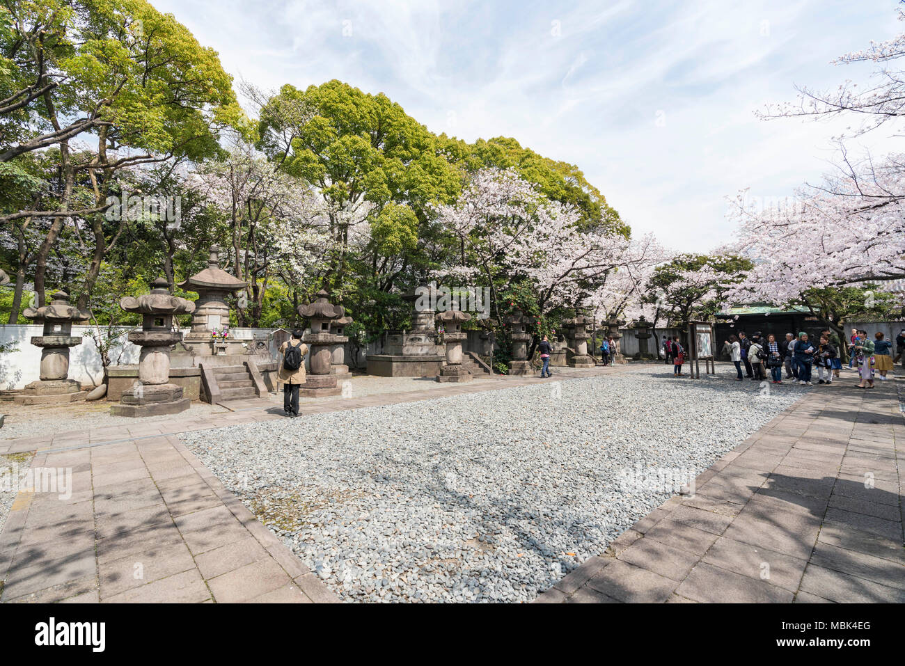 Zojouji temple hi-res stock photography and images - Alamy