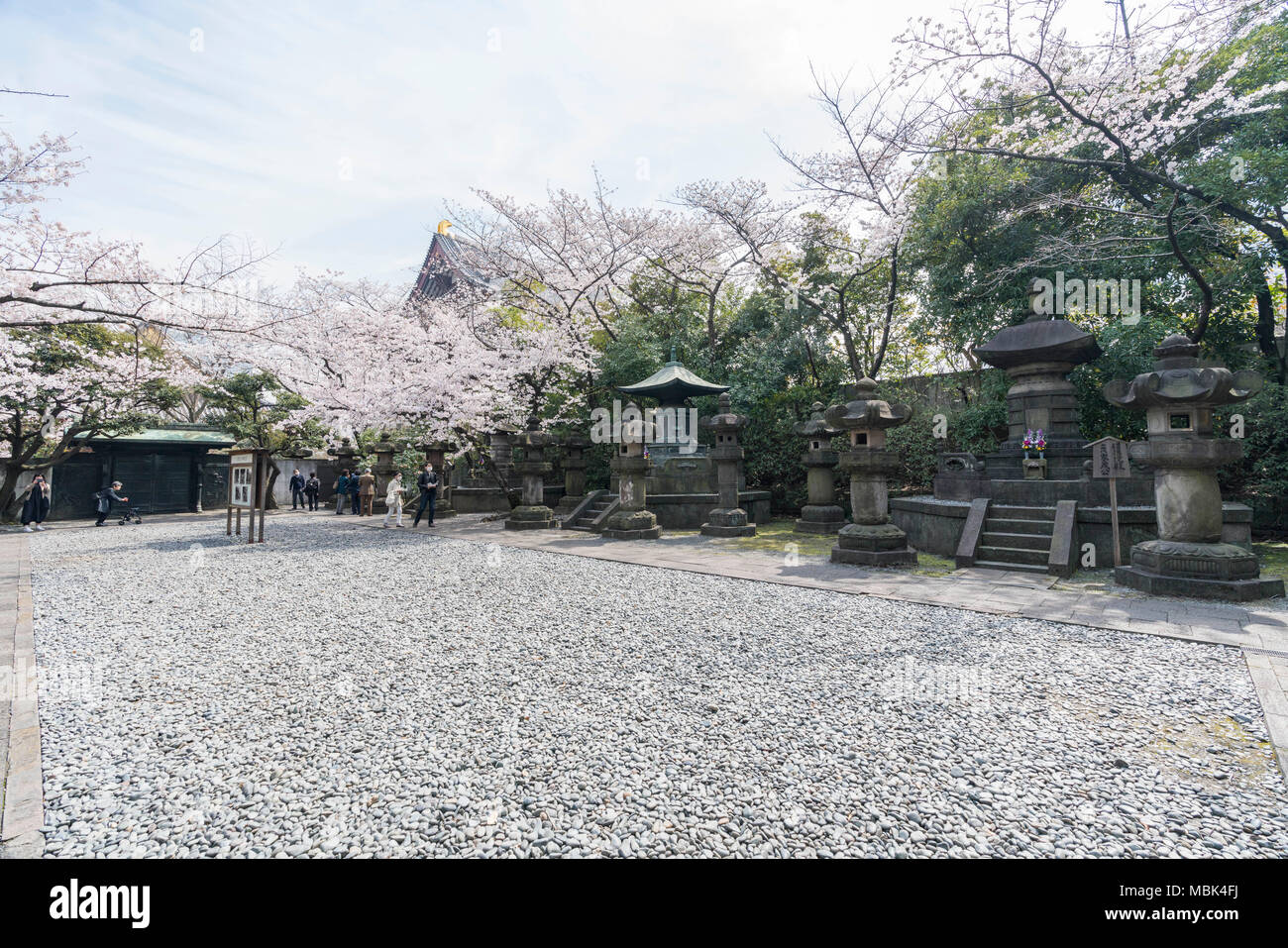 Zojouji temple hi-res stock photography and images - Alamy
