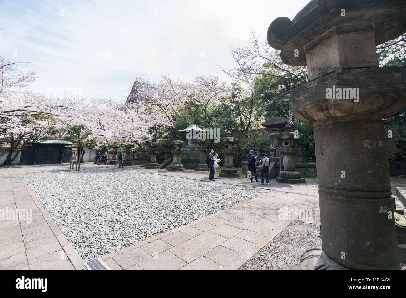 Zojouji temple hi-res stock photography and images - Alamy