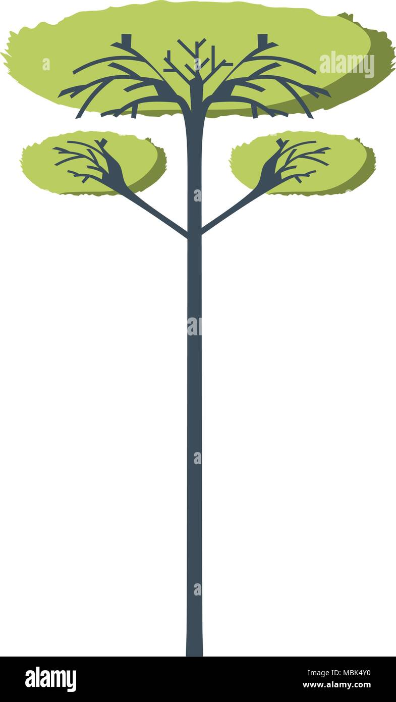 tall tree icon over white background, colorful design. vector ...