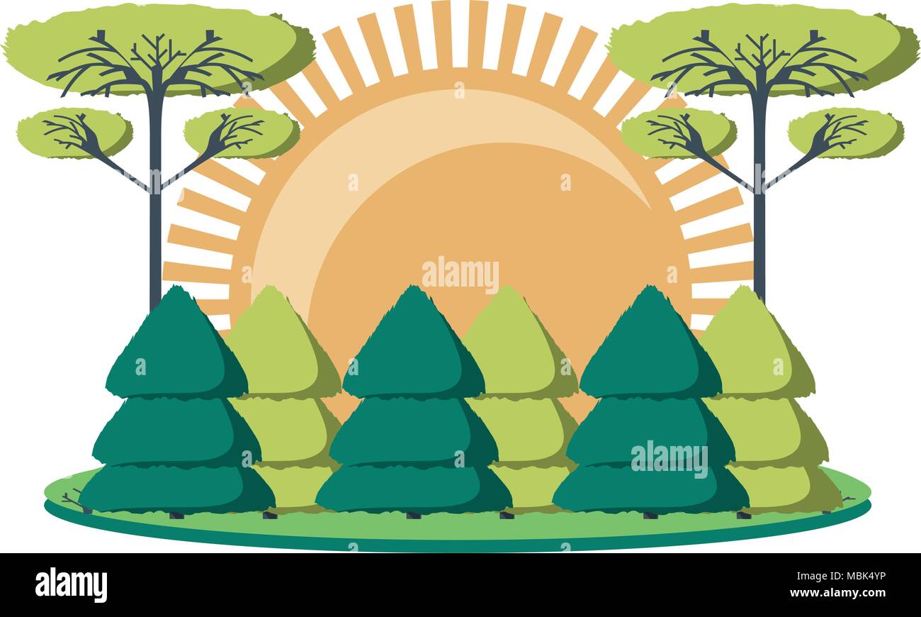 sun and trees over white background, colorful design. vector ...