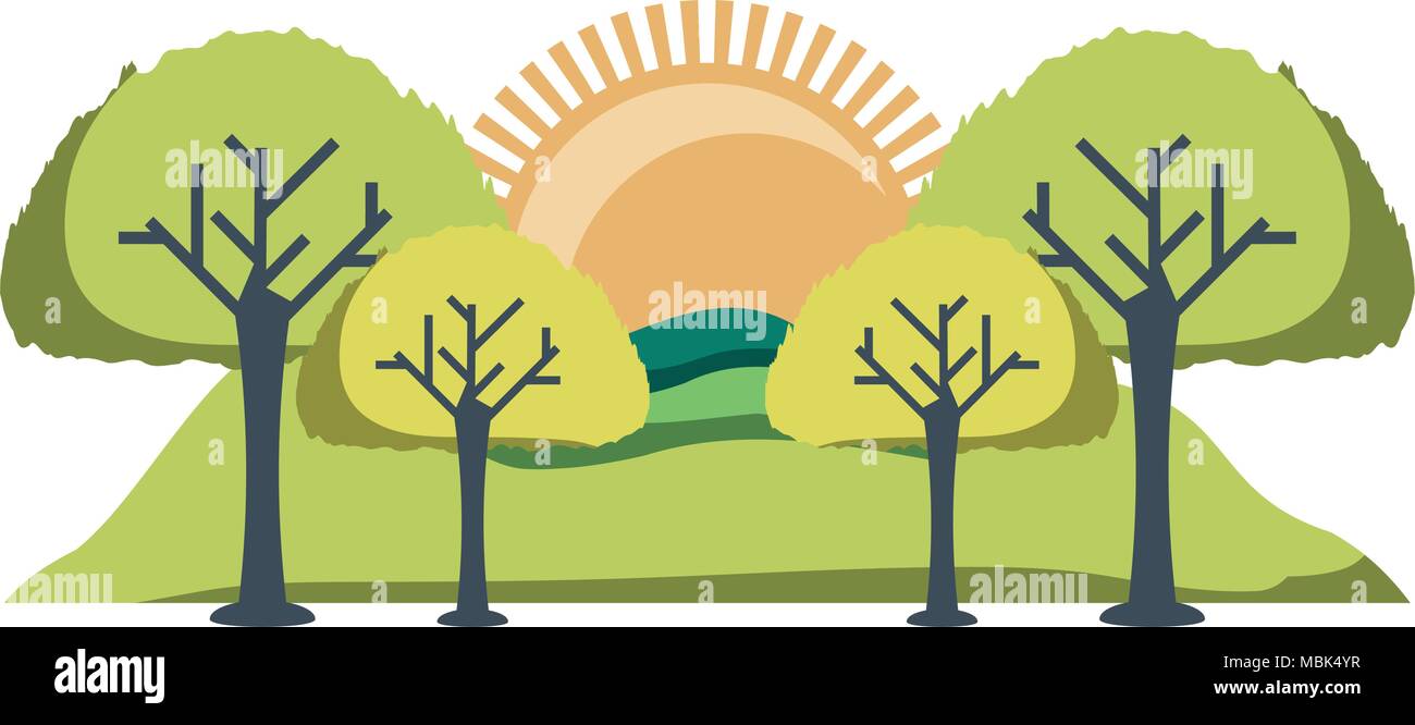 landscape with sun and trees over white background, colorful design ...