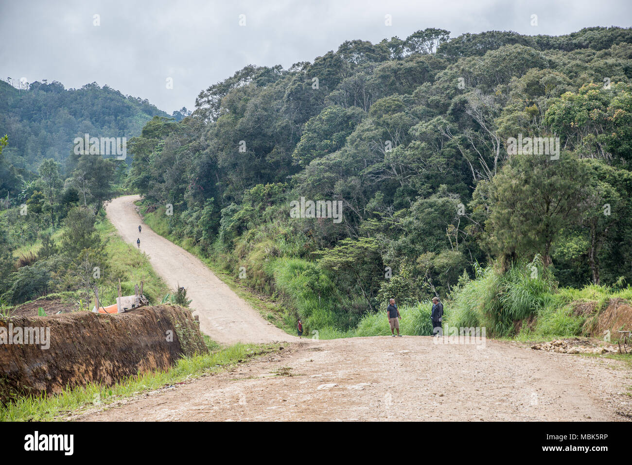 A typical unpaved road surrounded by the forest, Tari Valley, Papua New ...