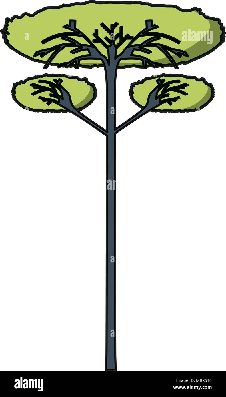 tall tree icon over white background, colorful design. vector ...