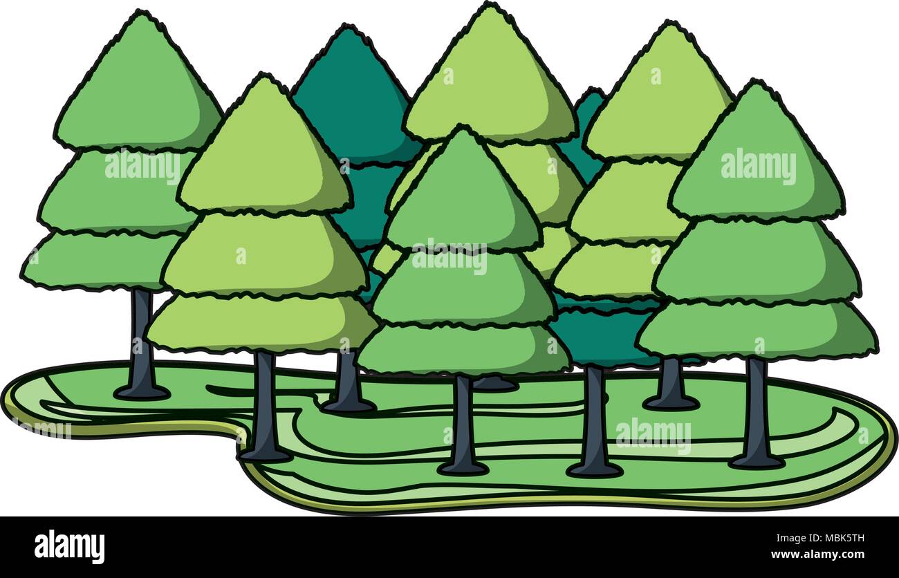 forest with pine trees over white background, colorful design. vector ...