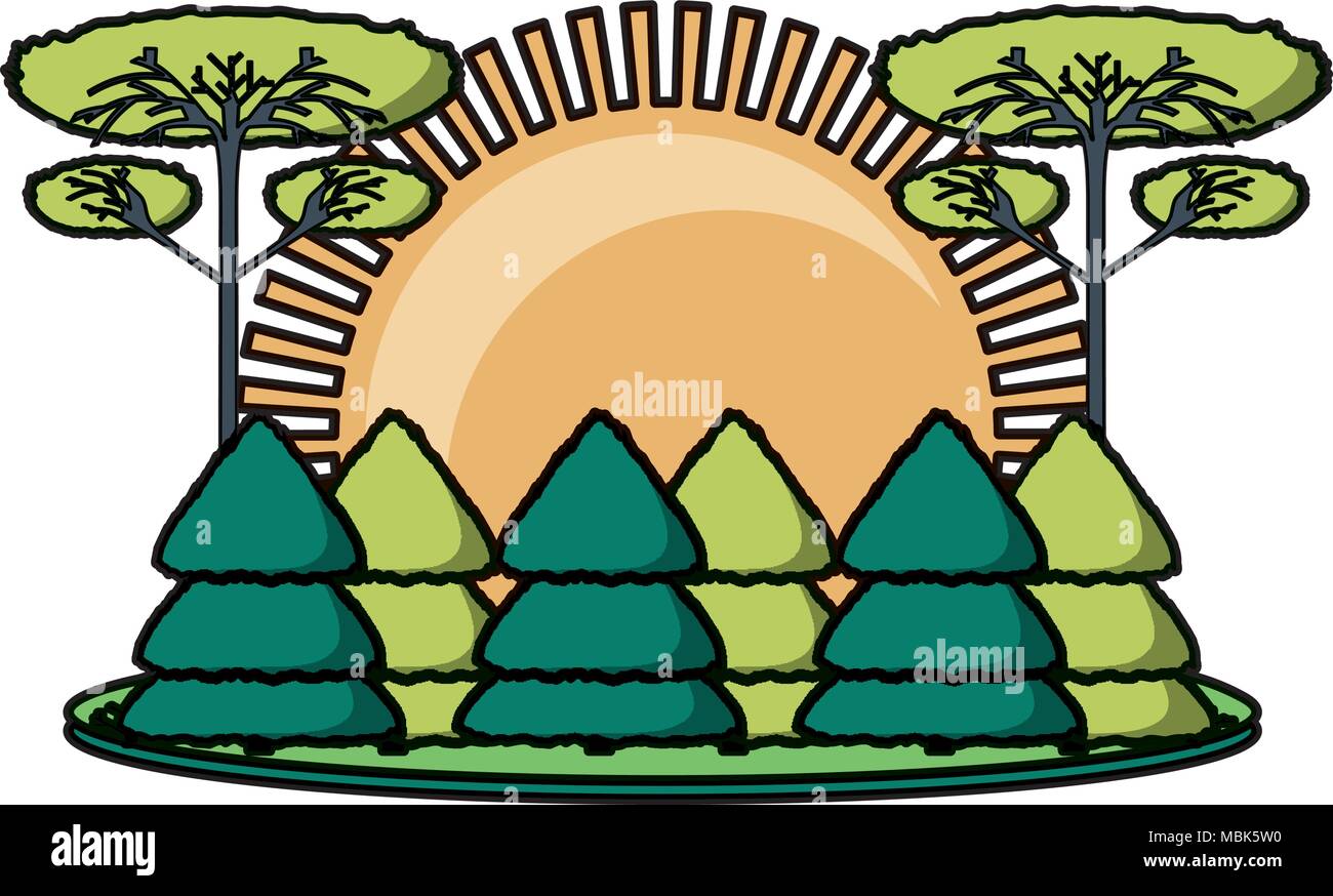 sun and trees over white background, colorful design. vector ...