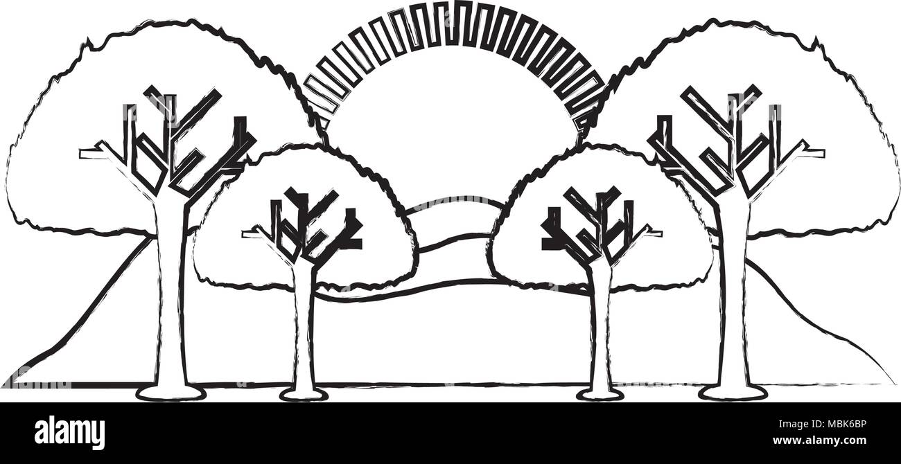 sketch of landscape with sun and trees over white background, vector ...