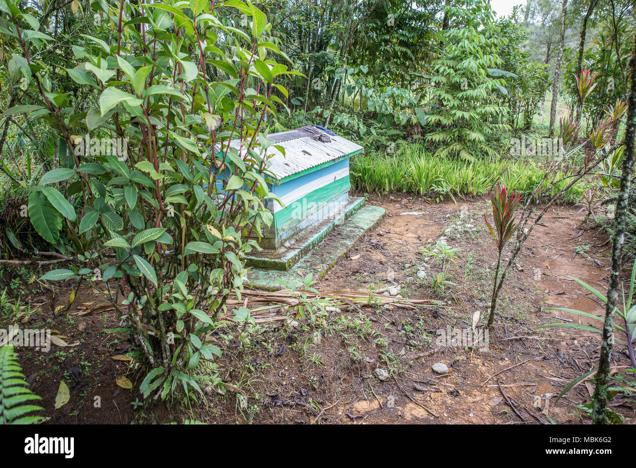 Modern grave in a christian cemetery, Tari Valley, Papua New Guinea ...