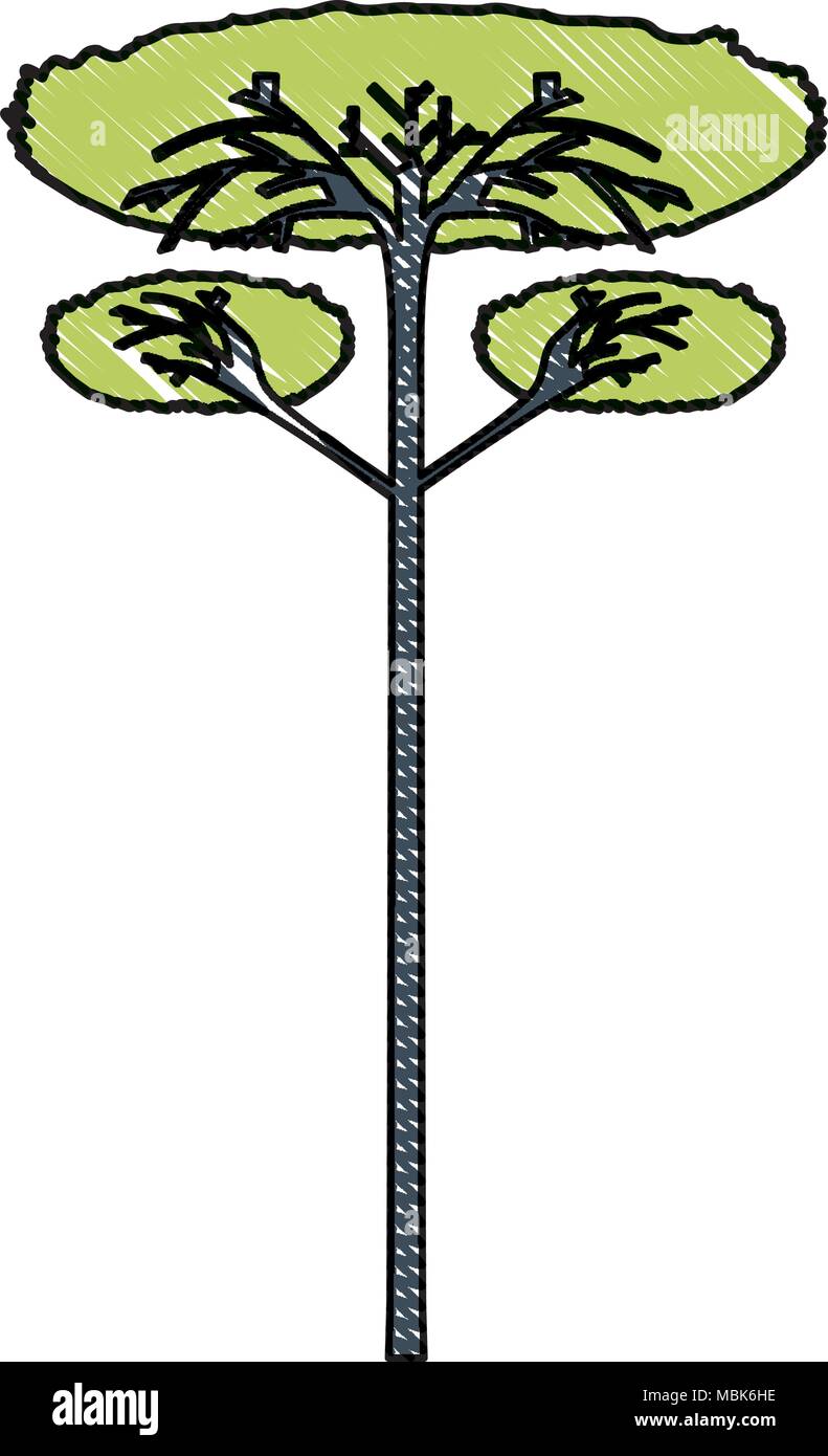 tall tree icon over white background, colorful design. vector ...