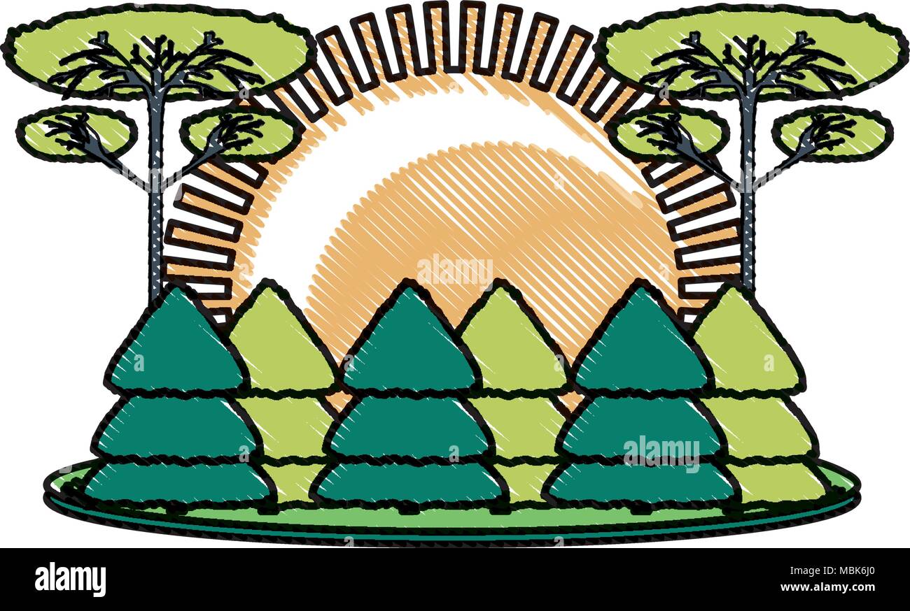 sun and trees over white background, colorful design. vector ...