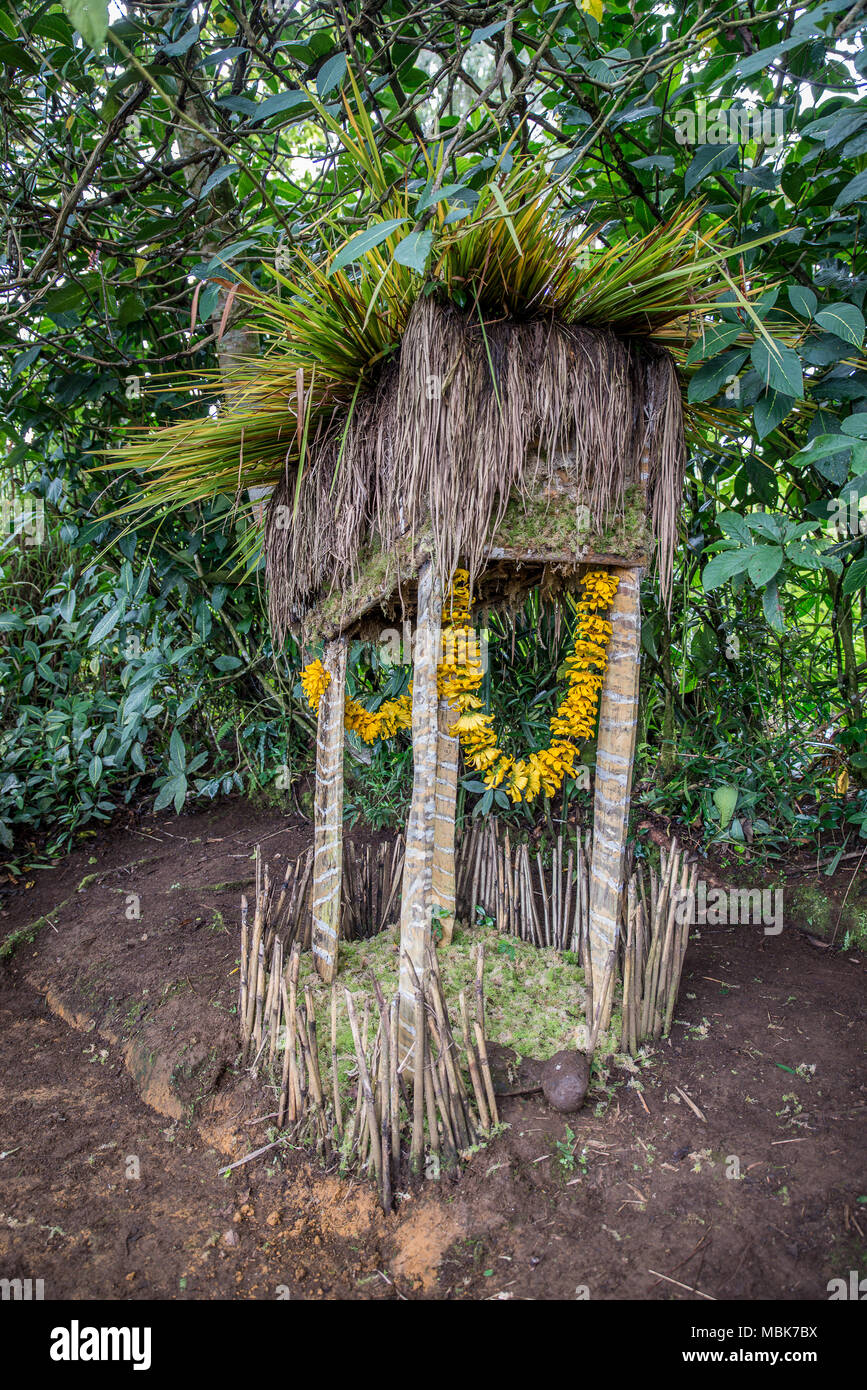 Traditional elevated wooden temporary grave of a Huli village, Tari ...