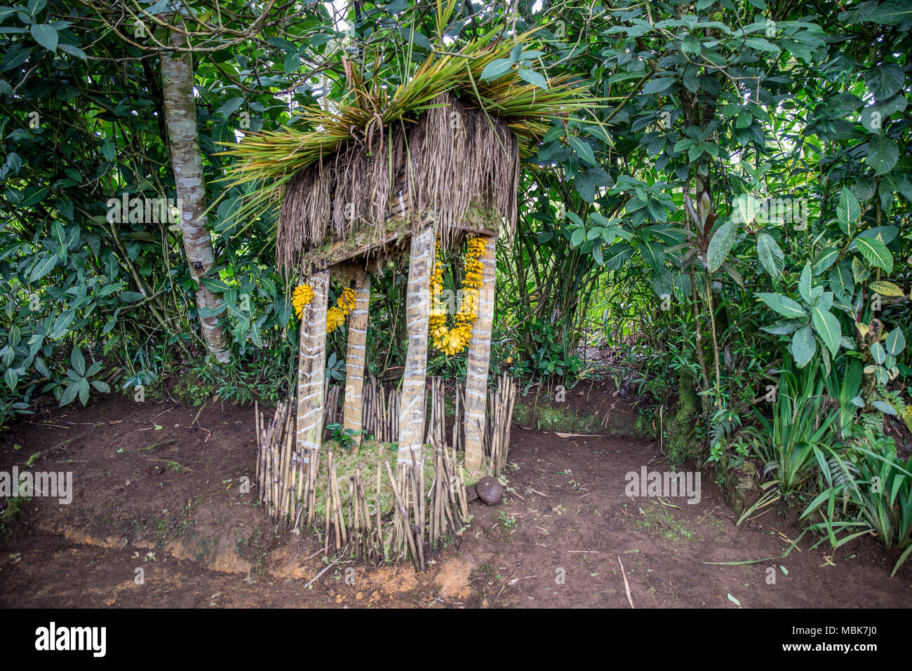 Traditional elevated wooden temporary grave of a Huli village, Tari ...