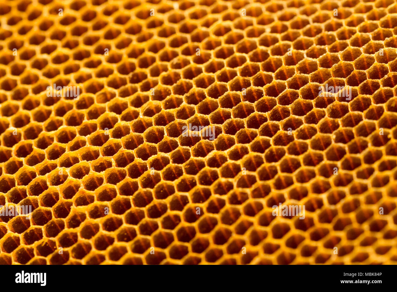Honey texture hi-res stock photography and images - Alamy