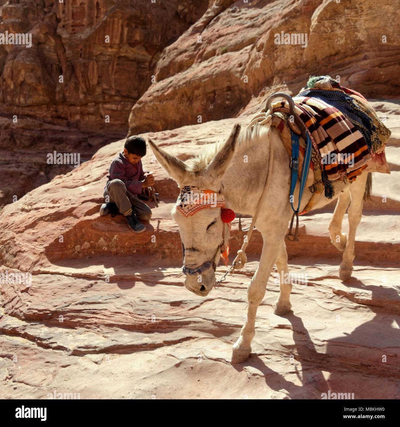 Tired donkey child hi-res stock photography and images - Alamy