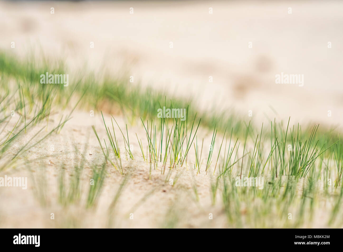 Loose soil hi-res stock photography and images - Alamy