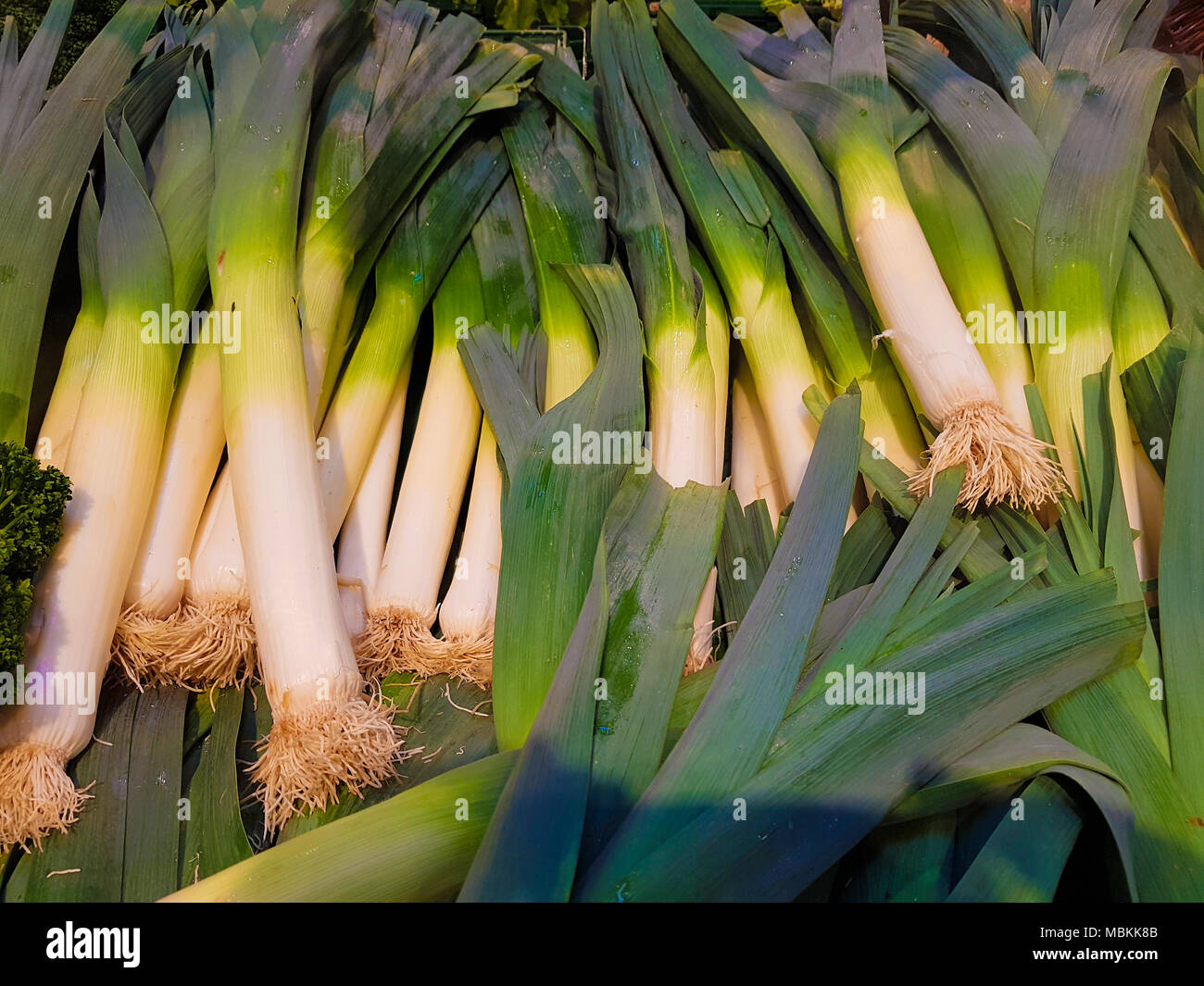 Bunch of leeks Stock Photo - Alamy