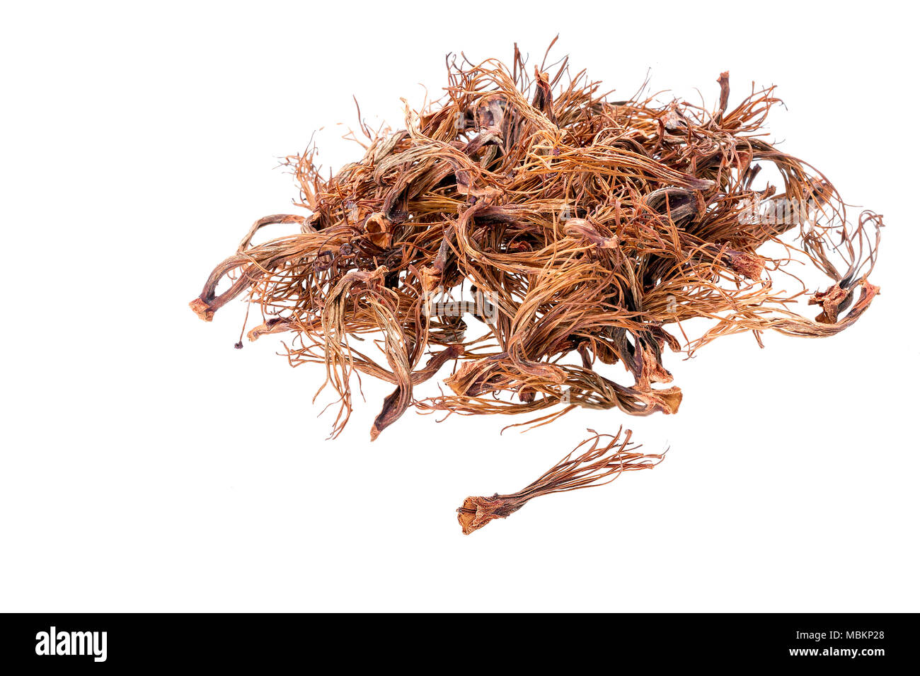 Androecium hi-res stock photography and images - Alamy