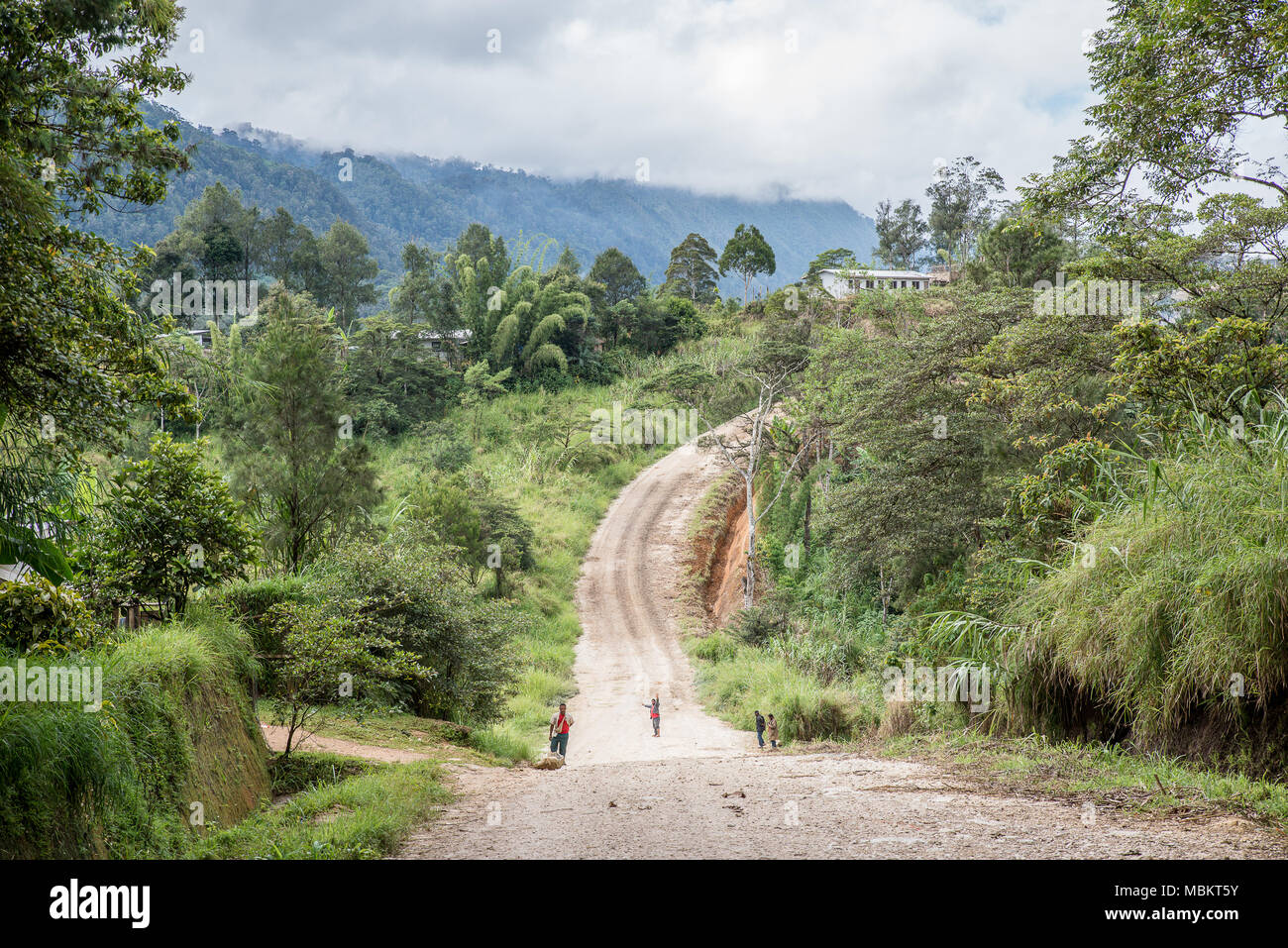 A typical unpaved road surrounded by the forest, Tari Valley, Papua New ...