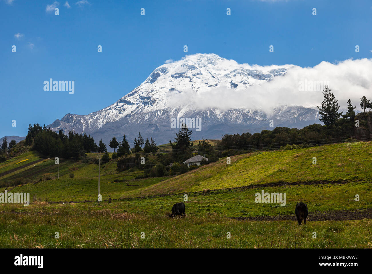 Chimborazo Wallpaper