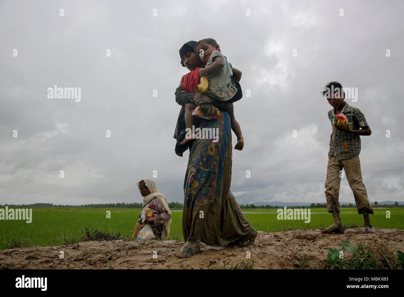 Rohingya refugees entered Bangladesh through border points in Ukhia ...