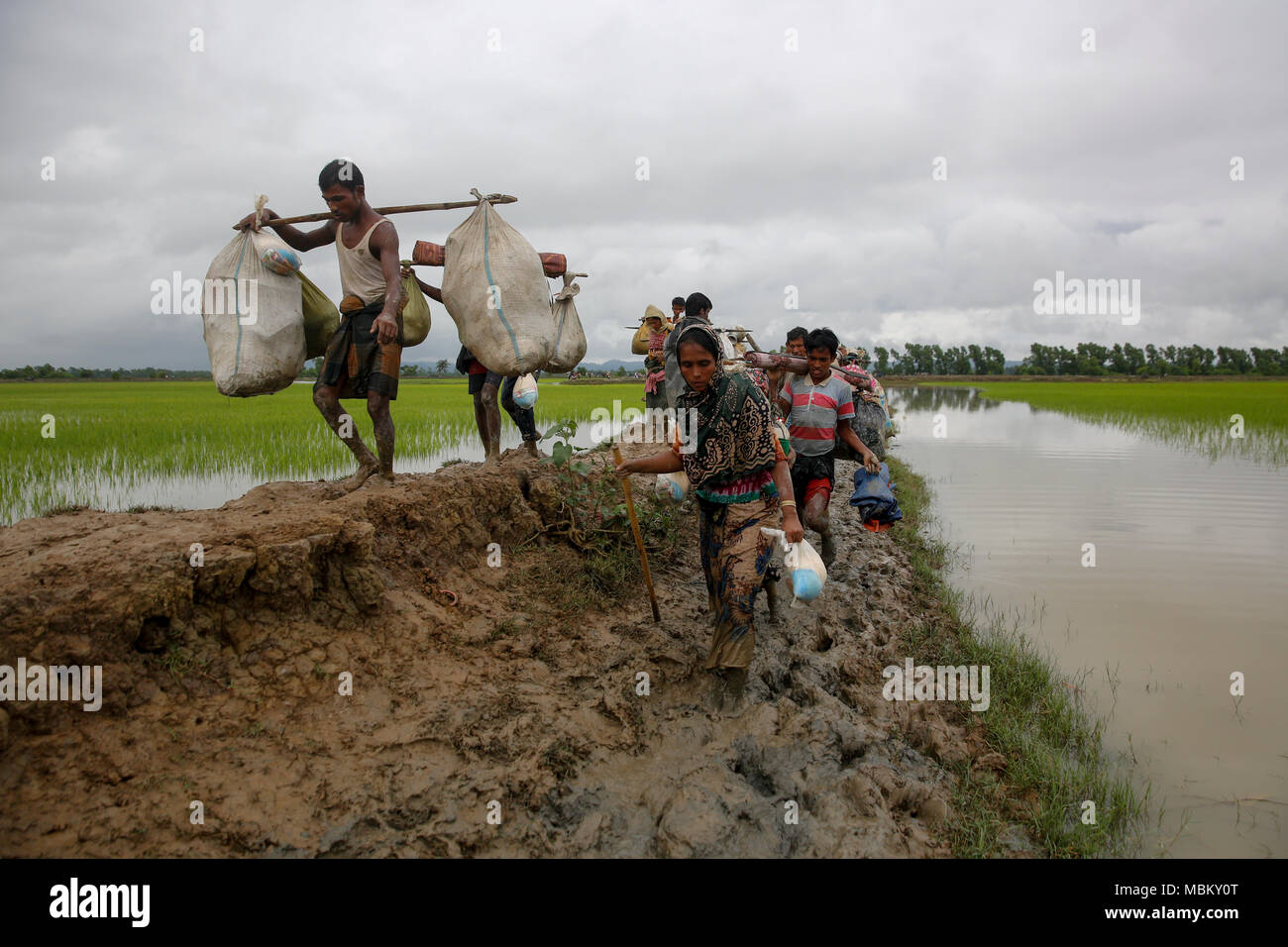 Rohingya refugees entered Bangladesh through border points in Ukhia ...