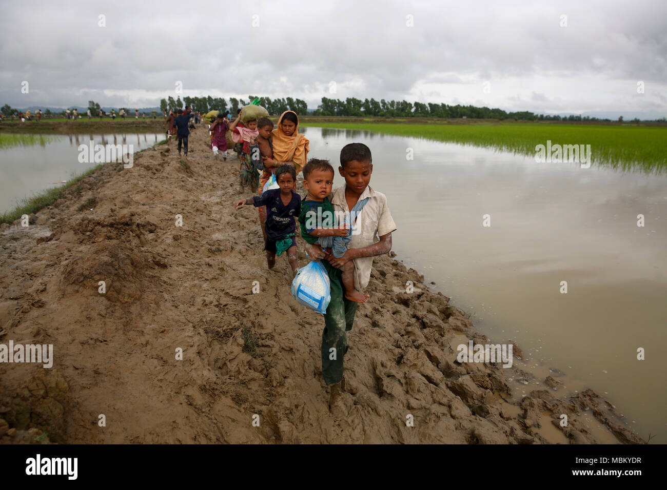 Rohingya refugees entered Bangladesh through border points in Ukhia ...