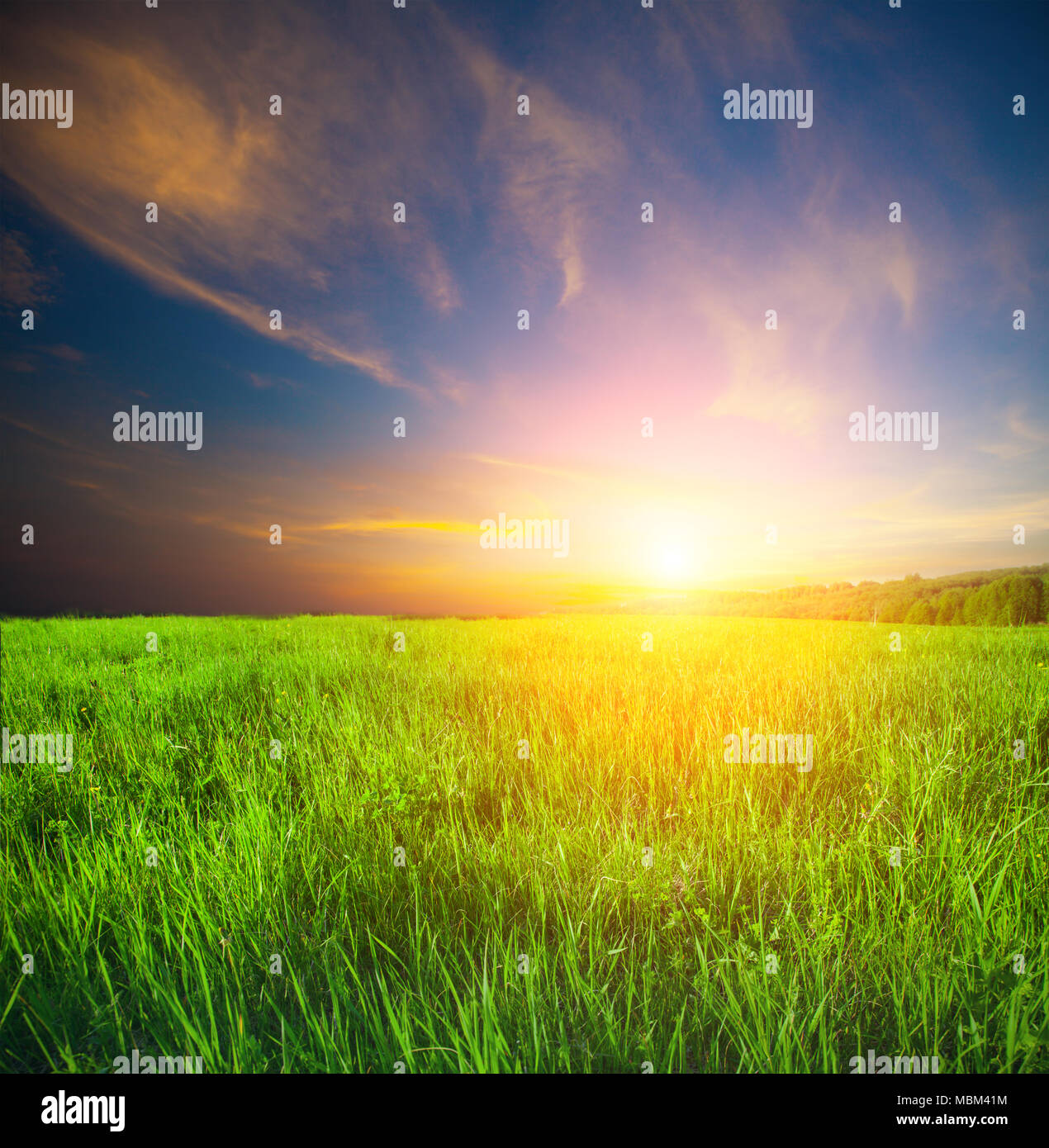 green field and beautiful sunset Stock Photo - Alamy