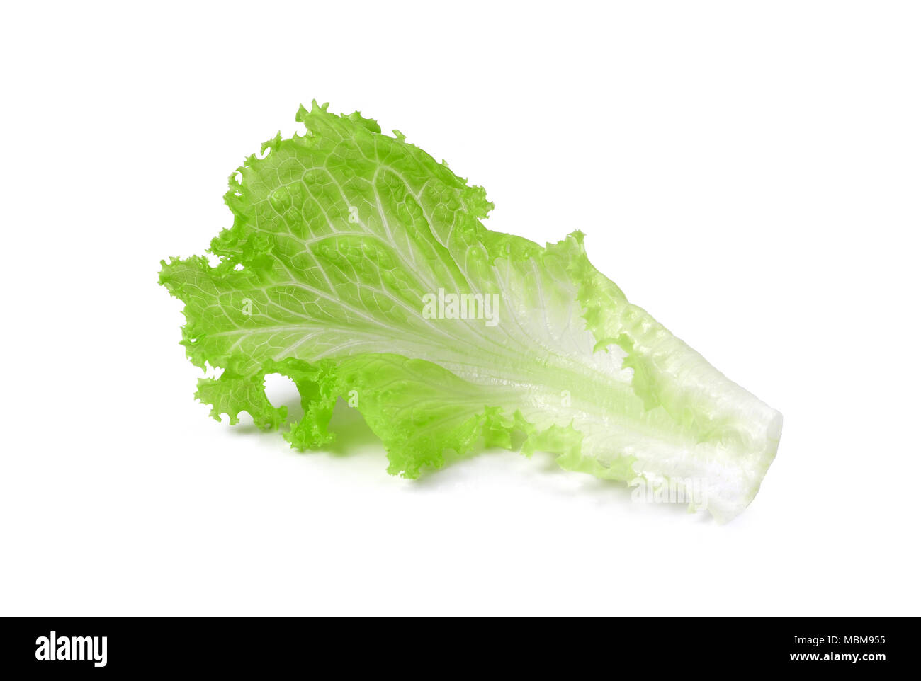 fresh frillice iceberg isolated on white background Stock Photo - Alamy