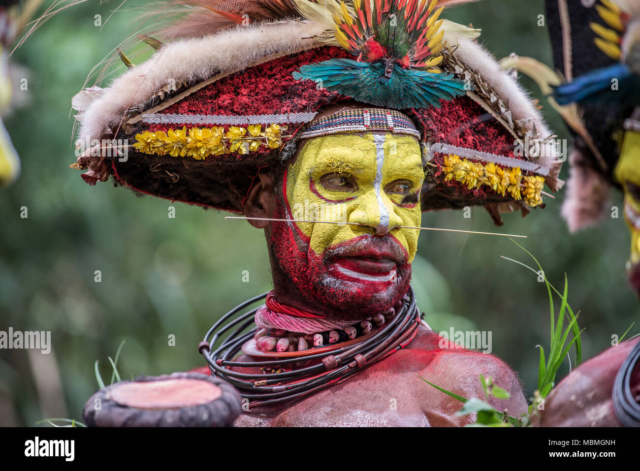 Portrait of an adult Huli wigman performing during a sing-sing, Tari ...