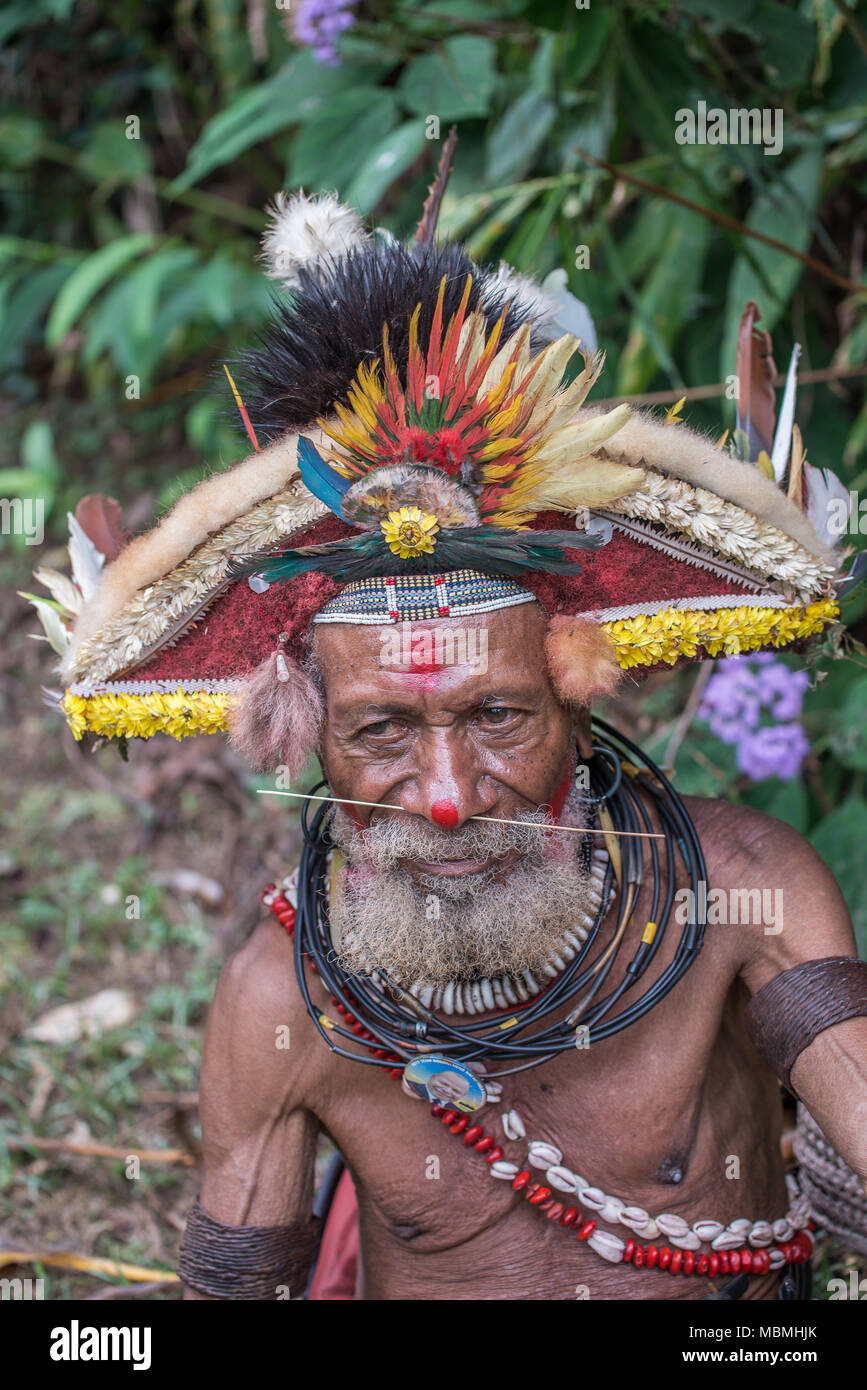 Portrait of an adult Huli wigman performing during a sing-sing, Tari ...