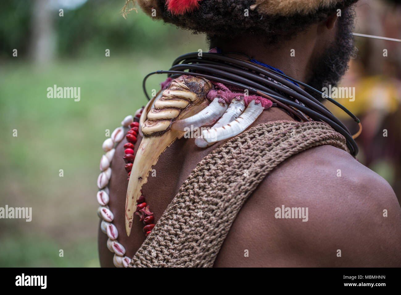 Detail of the neck decoration of a Huli wigman at a sing-sing, Tari ...