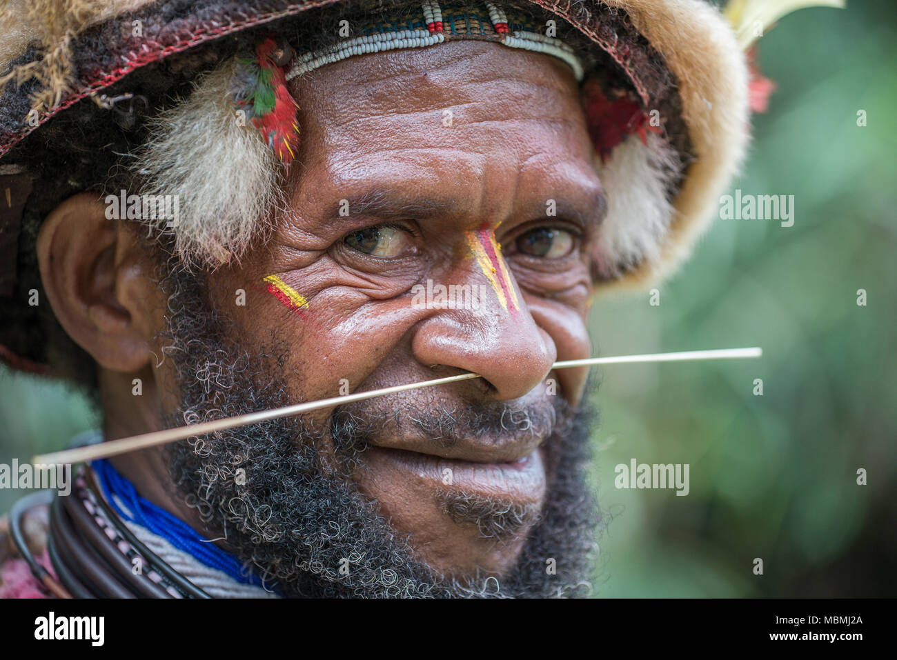 Close-up portrait of an adult Huli wigman performing during a sing-sing ...