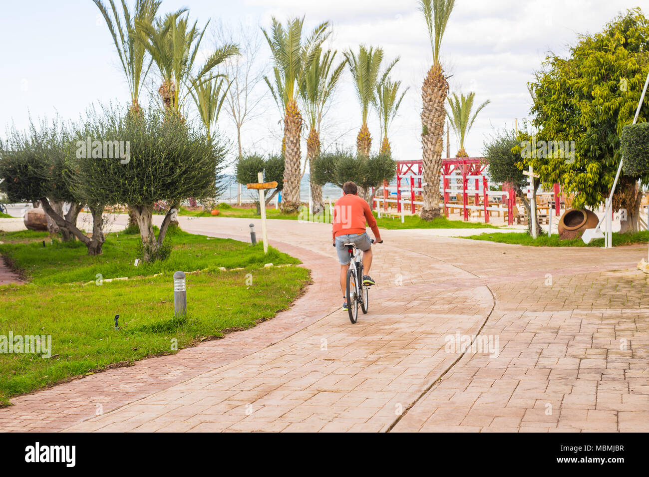Guy riding bicycle in the park, back view Stock Photo - Alamy