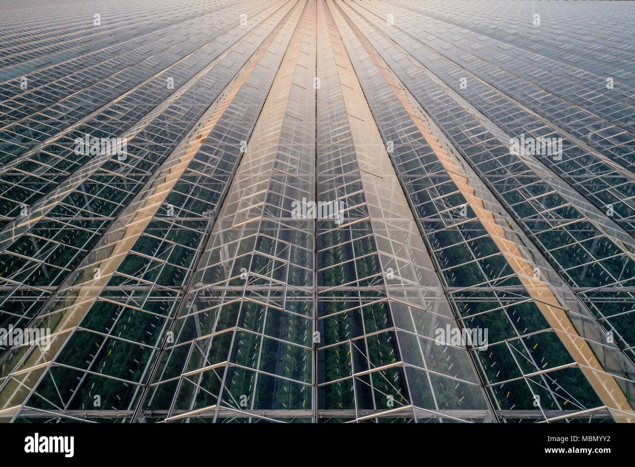 Aerial view on large modern glass houses on farm Stock Photo - Alamy