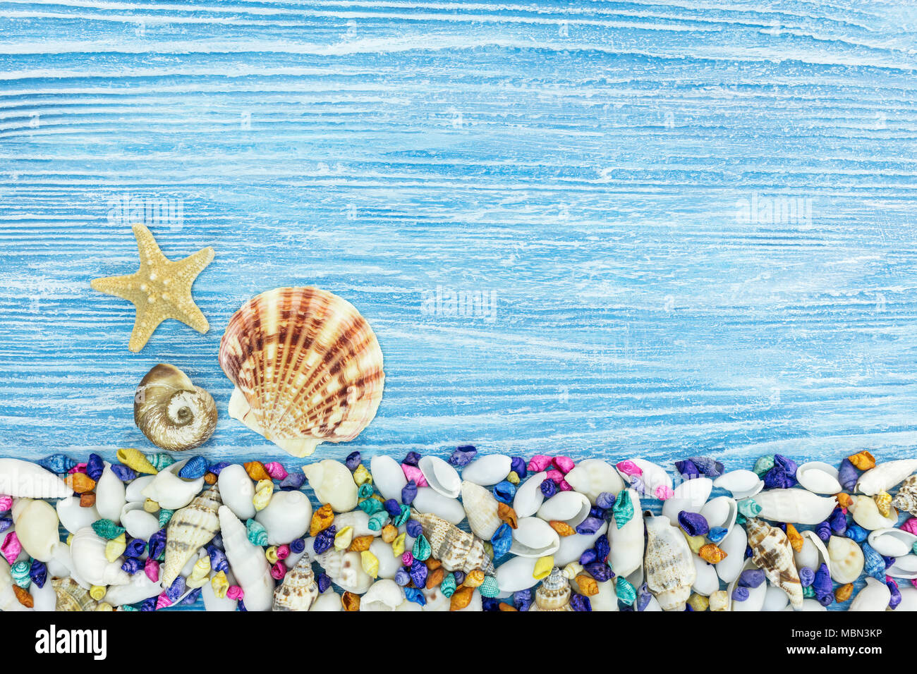 Different size shells hi-res stock photography and images - Alamy