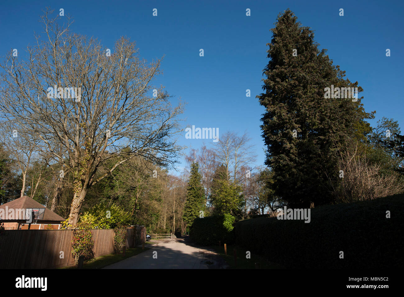 Hook heath surrey hi-res stock photography and images - Alamy