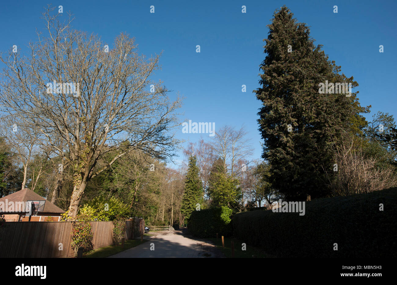 Hook heath surrey hi-res stock photography and images - Alamy